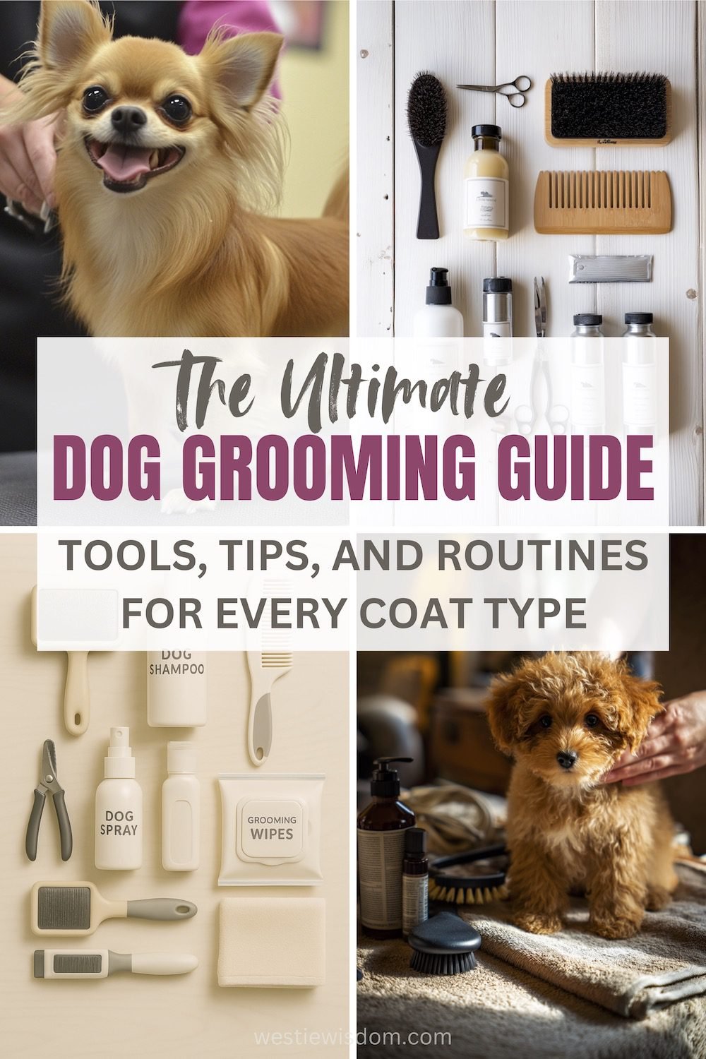The Ultimate Dog Grooming Guide: Tools, Tips, and Routines for Every ...